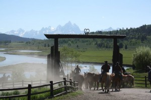 Go Horseback Riding in Wyoming - Wyoming Magazine