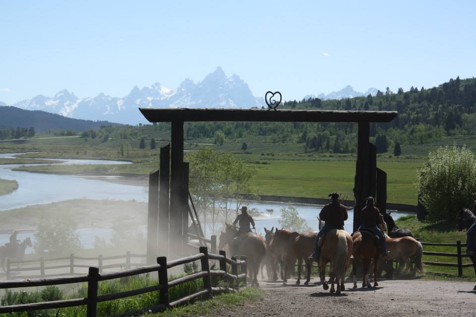 Go Horseback Riding in Wyoming - Wyoming Magazine