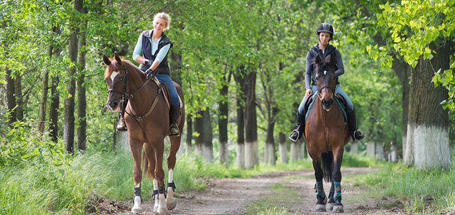 Best Horseback Riding Spots in Wyoming - Wyoming Magazine